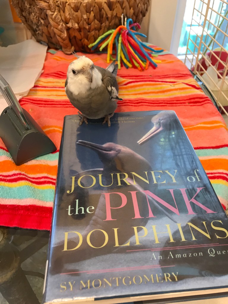 Pearl’s Weekend Reading List: “Journey of the Pink Dolphins” – Love ...